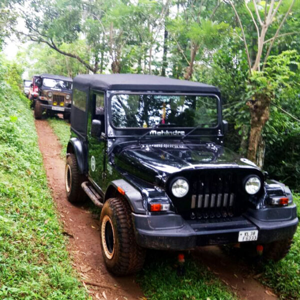 Activities – Vagamon Bamboo