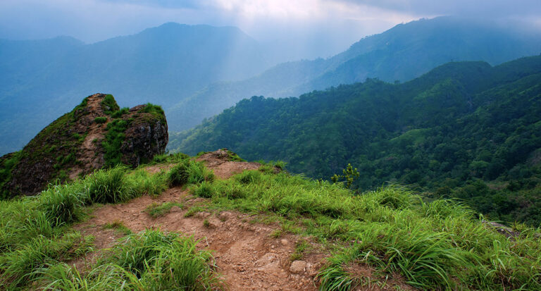 Vagamon – Vagamon Bamboo